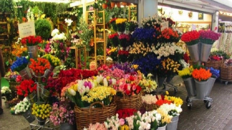 Floristería: Plan de negocios para montarla - Quiero ser Millonario